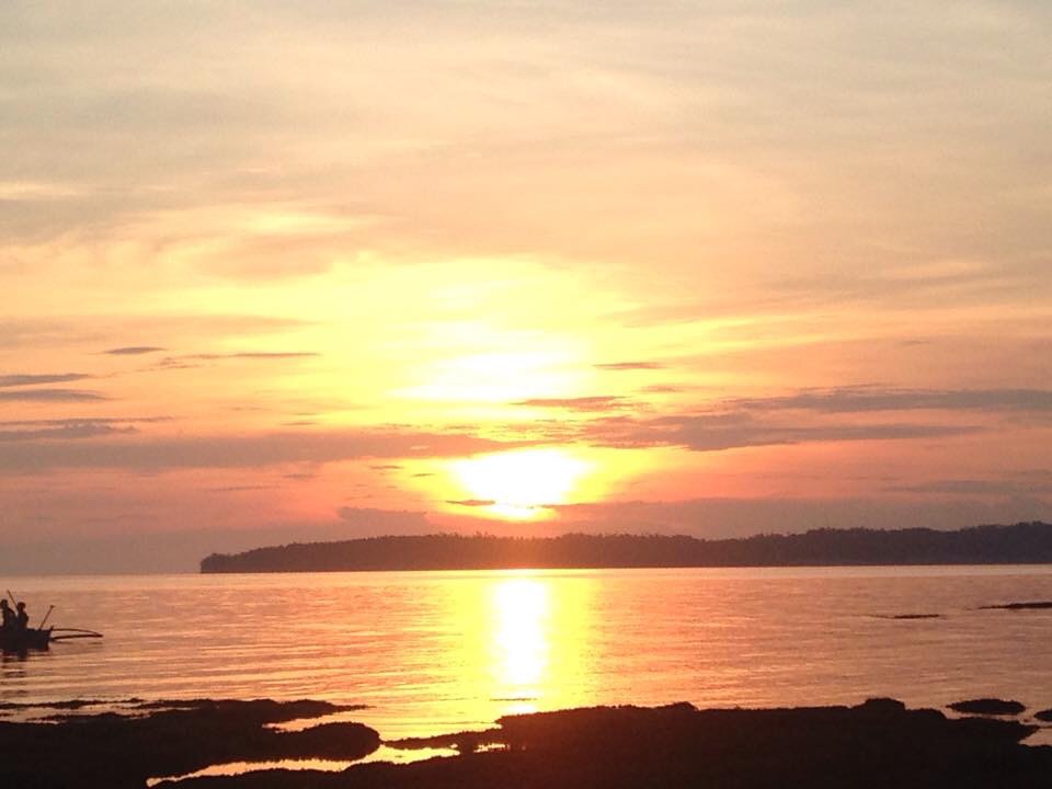 Whale Shark at Donsol, Sorsogon – Althea's Adventures