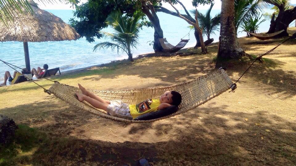 Whale Shark at Donsol, Sorsogon – Althea's Adventures