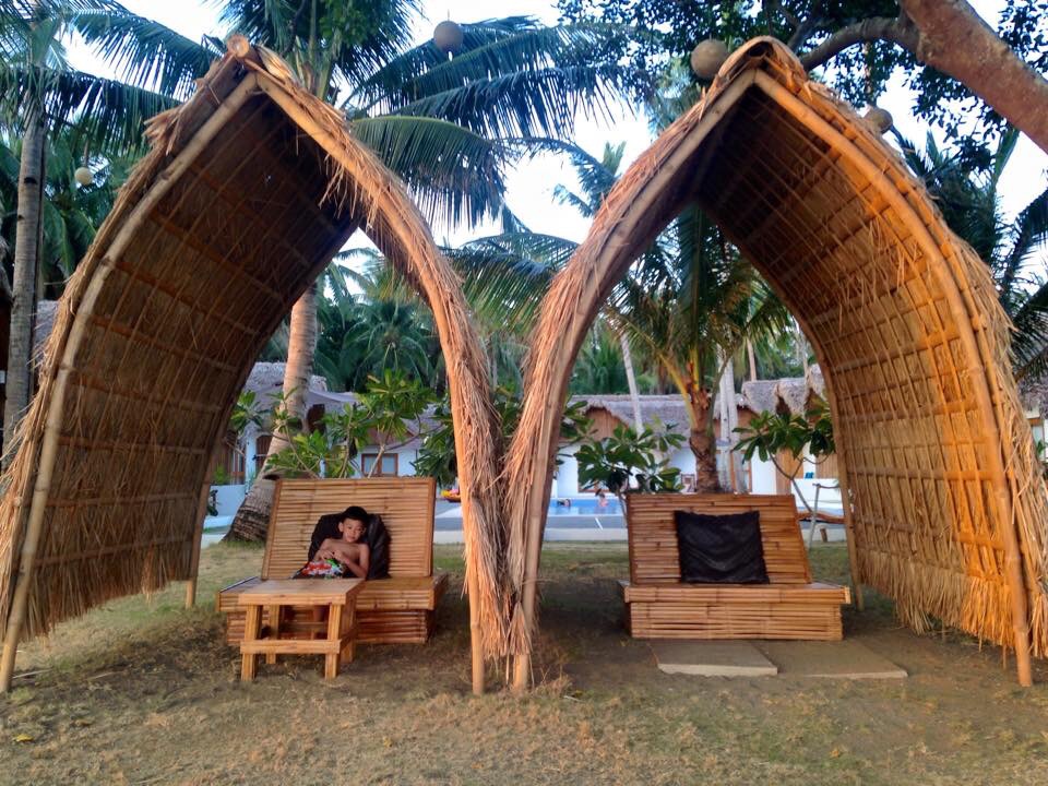 Whale Shark at Donsol, Sorsogon – Althea's Adventures