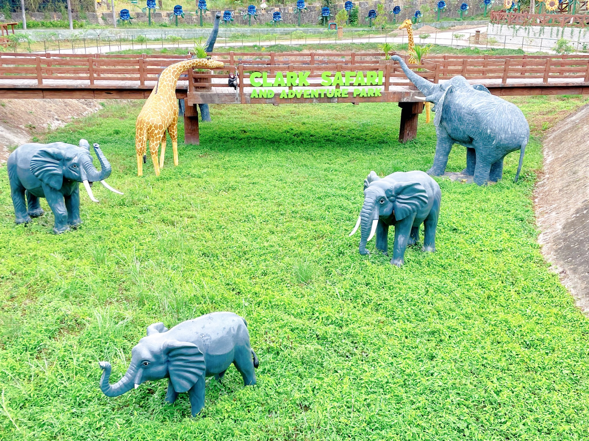 Clark Safari and Adventure Park – Althea's Adventures